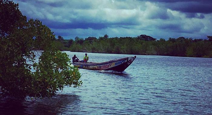 REPOUSO BIOLÓGICO DO RIO CACHEU CORRE RISCO DE SER VIOLADO – O Democrata GB